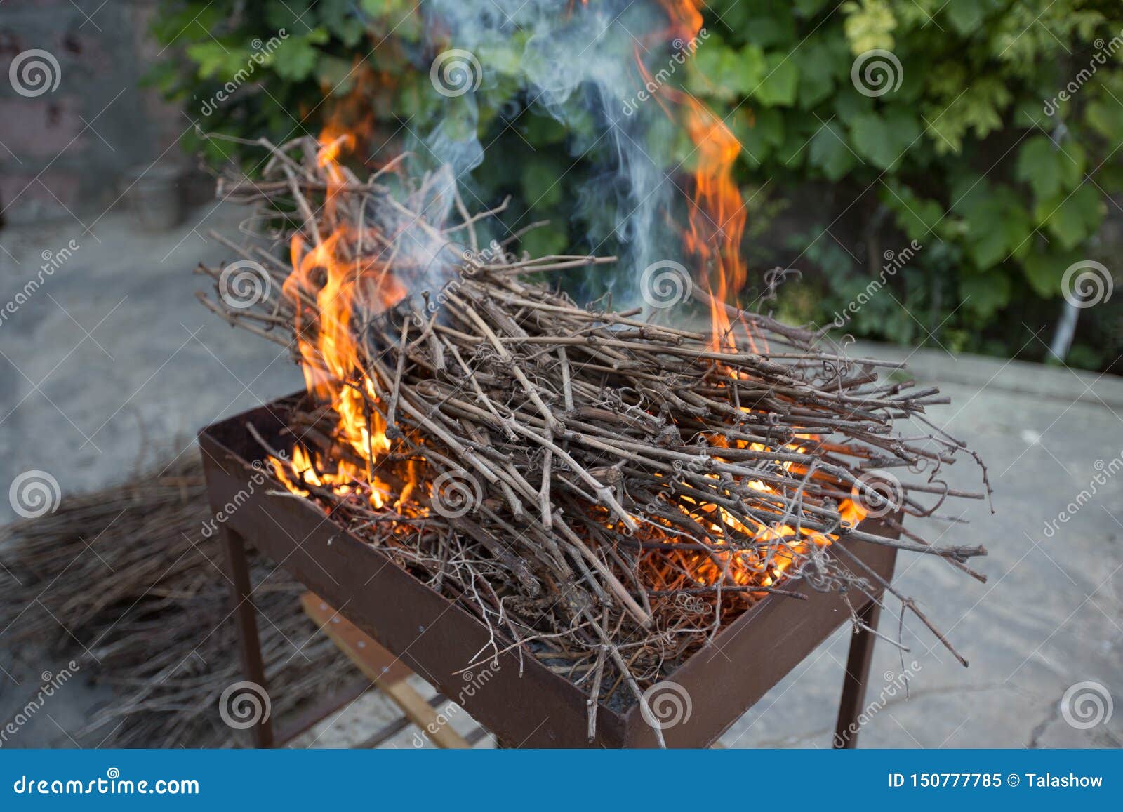 Bonfire in the Grill in the Daytime in Summer Stock Image - Image of ...