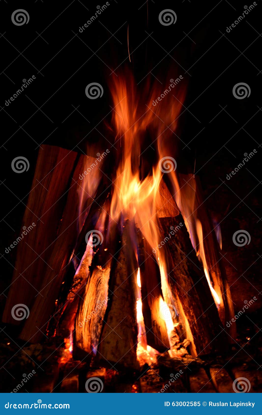 Bonfire stock image. Image of buds, beauty, covered, feast - 63002585