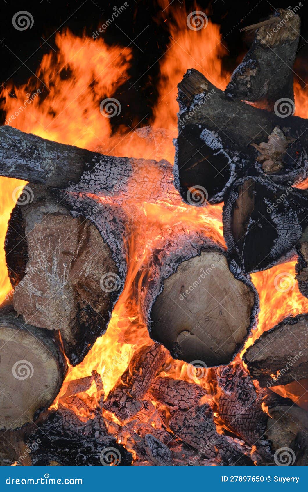 Bonfire Burning Large Trees Night Glow Stock Photo - Image of camping ...