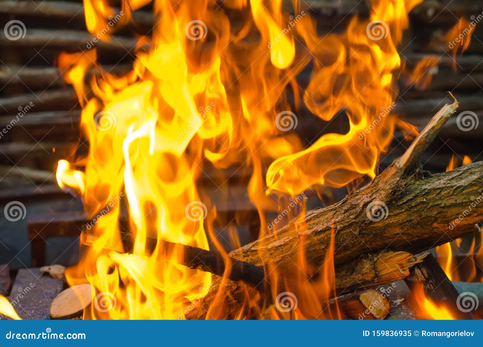 Bonfire light stock image. Image of coal, burning, fire - 159836935
