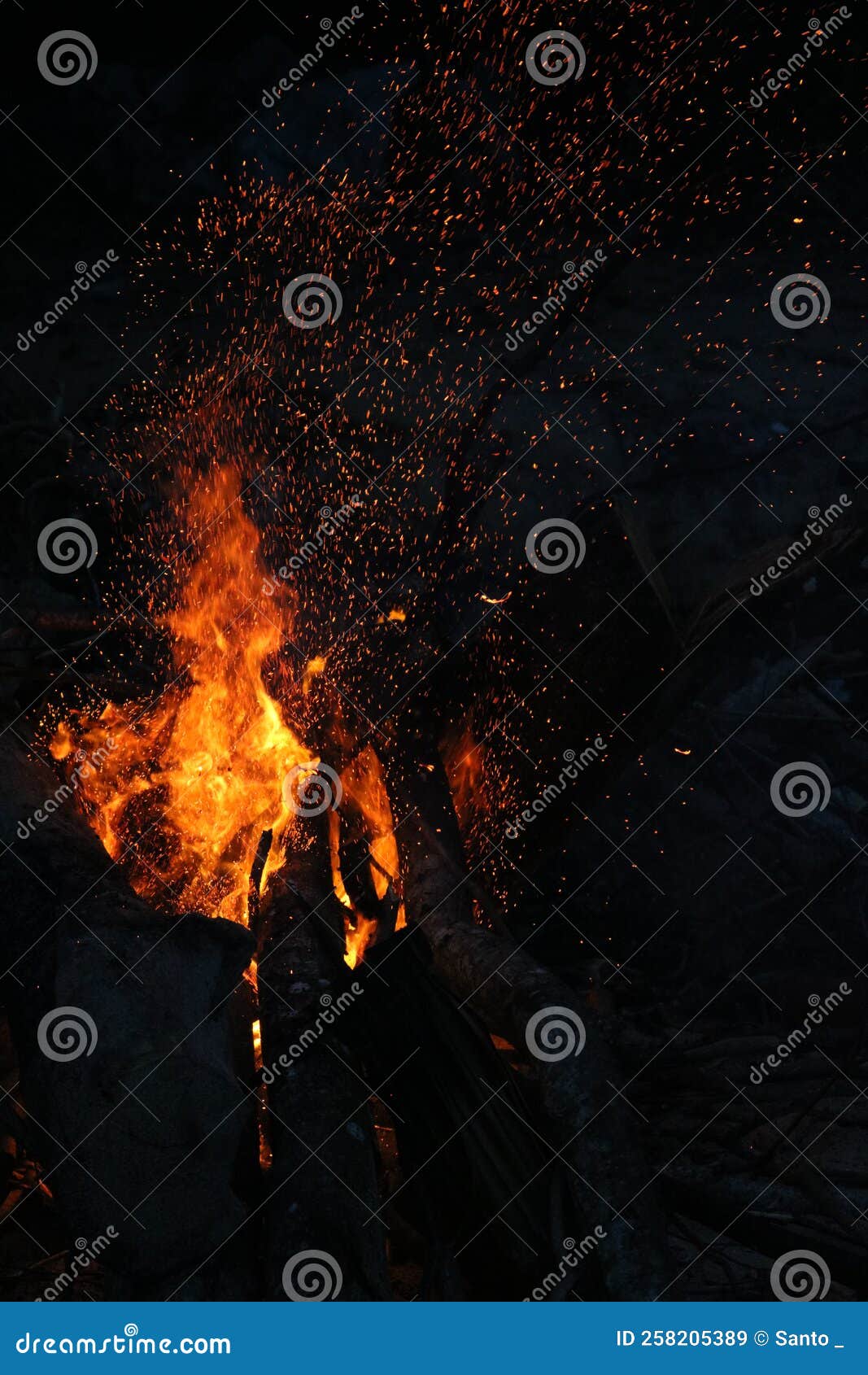 Bonfire lit while camping stock image. Image of camping - 258205389