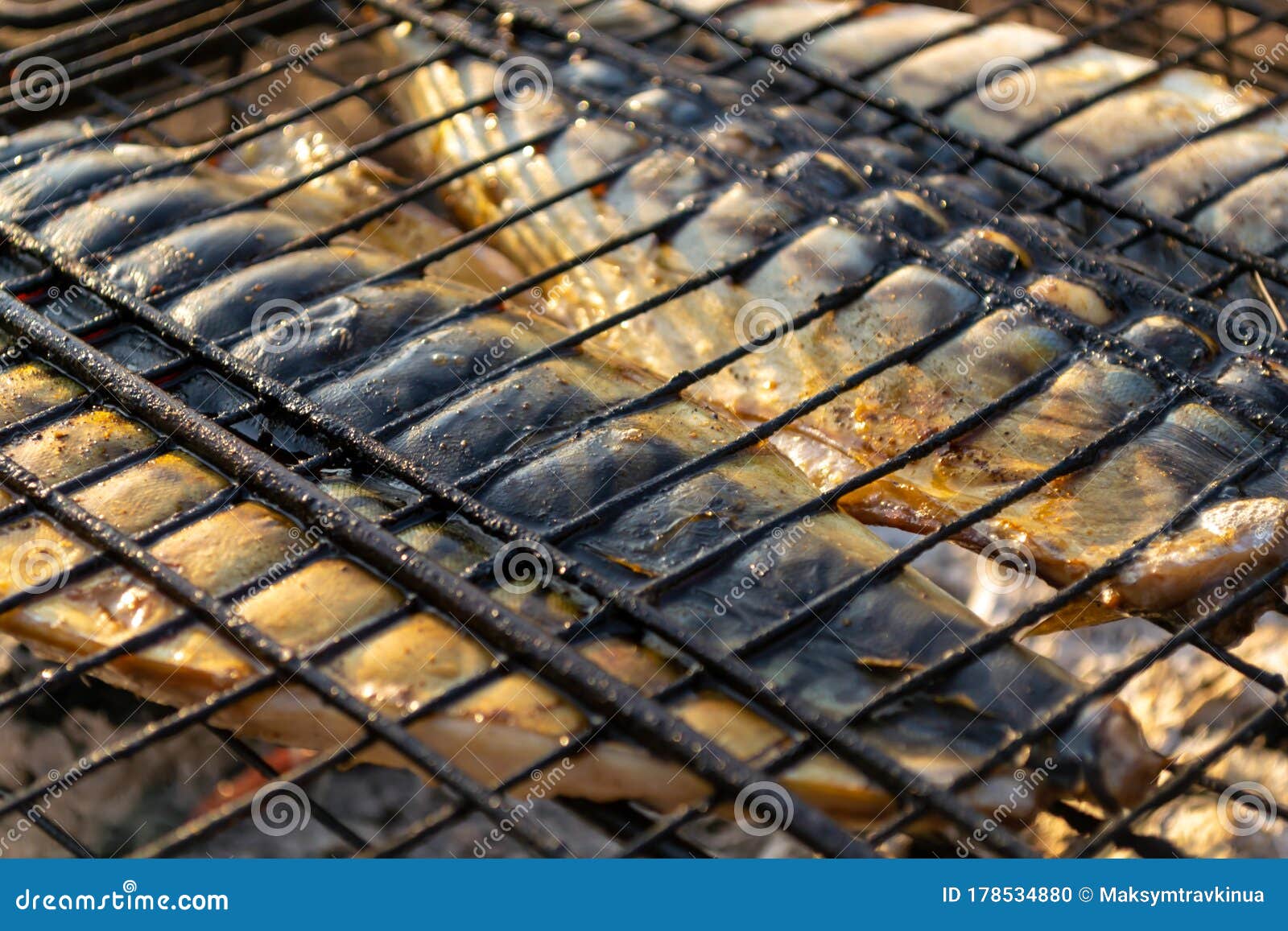Bonfire mackerel fish stock photo. Image of cook, brazier - 178534880