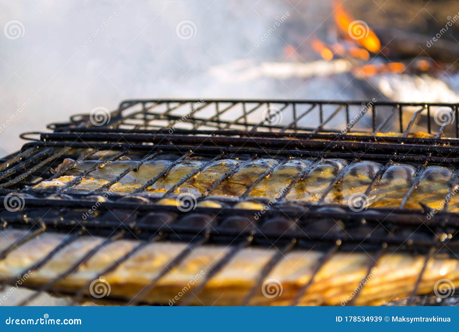 Bonfire mackerel fish stock image. Image of healthy - 178534939