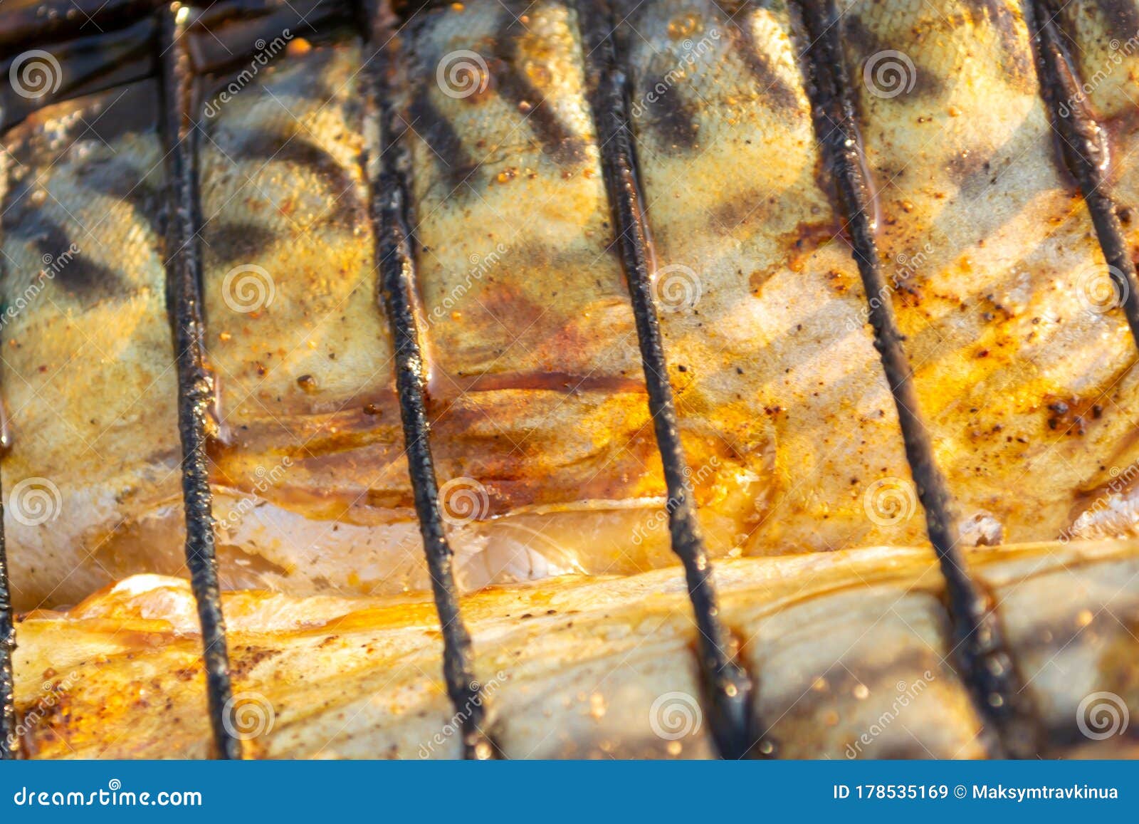 Bonfire mackerel fish stock image. Image of grilled - 178535169