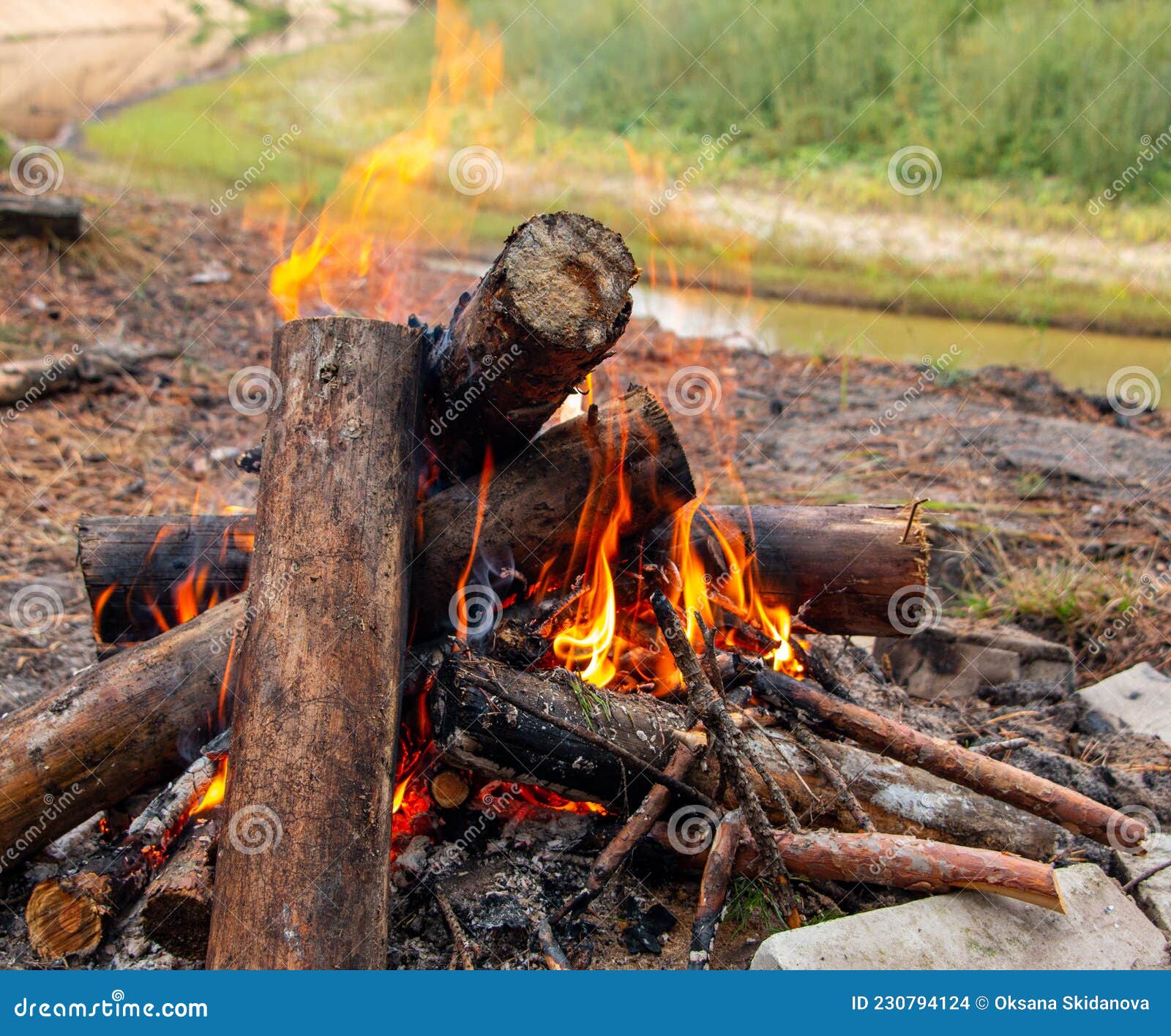 Bonfire Made of Pine Sticks and Branches is Burning with Bright Orange ...