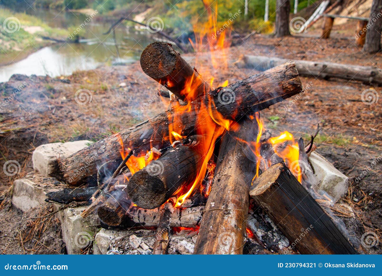 Bonfire Made of Pine Sticks and Branches is Burning with Bright Orange ...