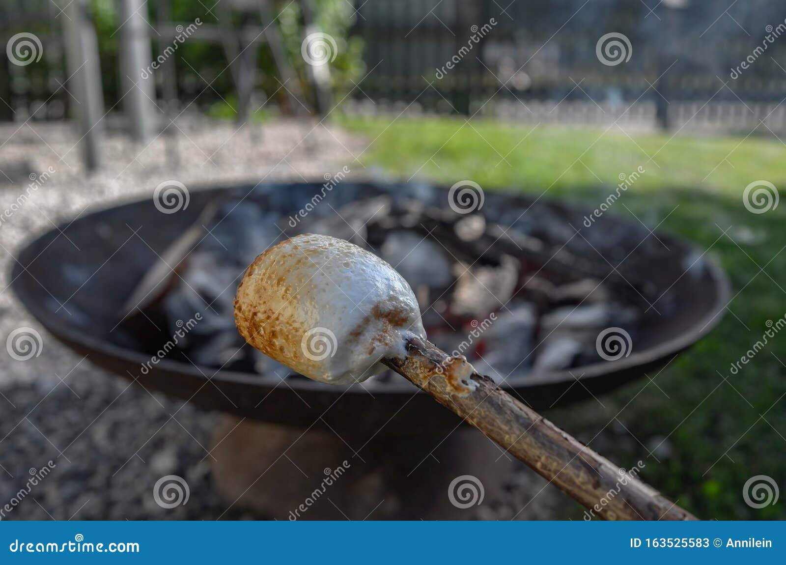Bonfire with Marshmallow.Roasting Marshmallows Over an Open Campfire ...