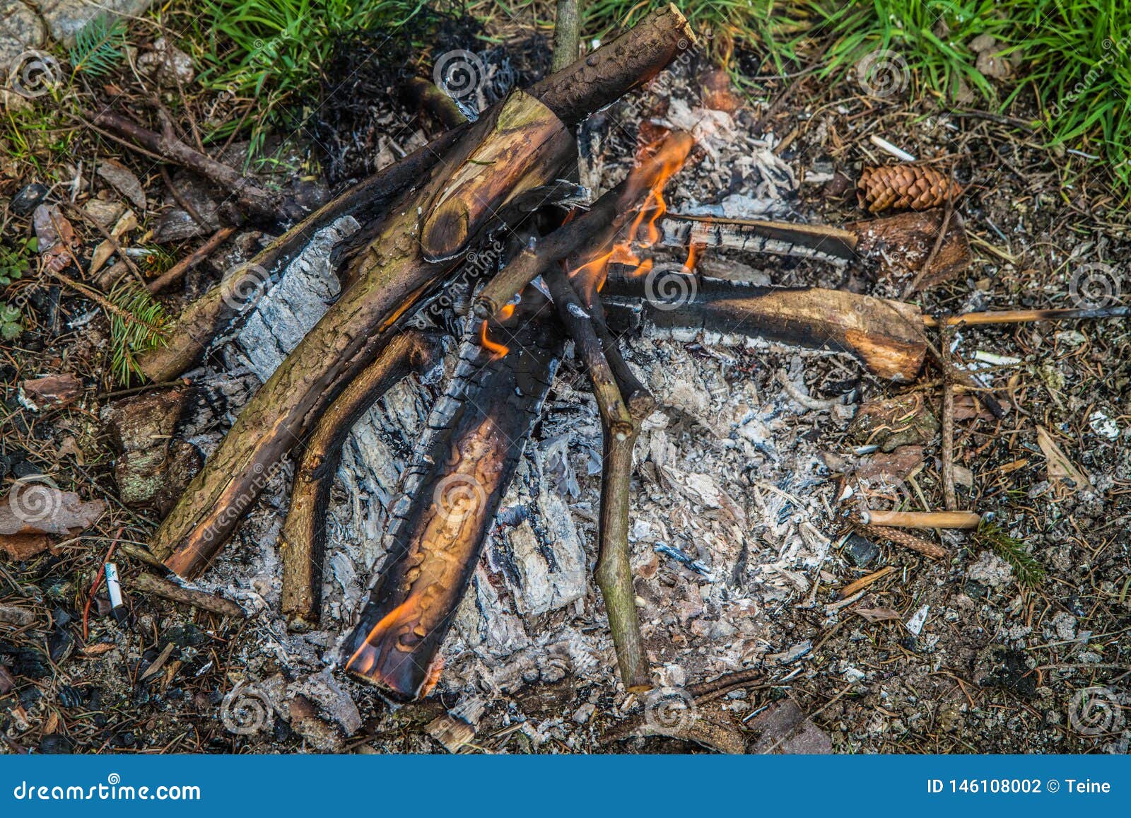 Bonfire stock photo. Image of warm, bonfire, picnic - 146108002