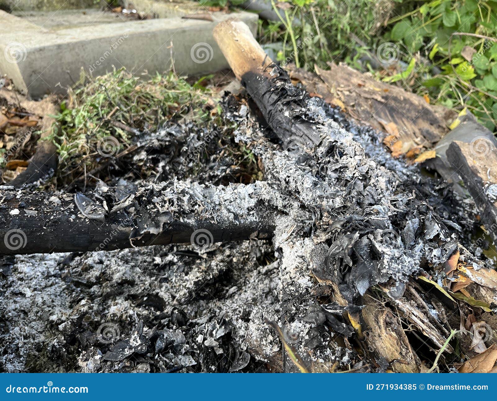 Bonfire in the Forest with Wood and Ash Stock Image - Image of ...