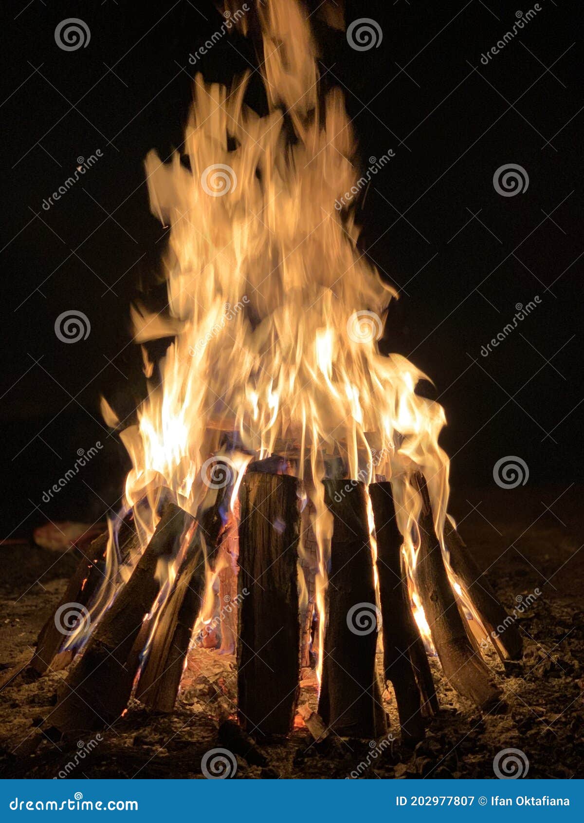 Bonfire stock image. Image of night, cold, dark, woods - 202977807