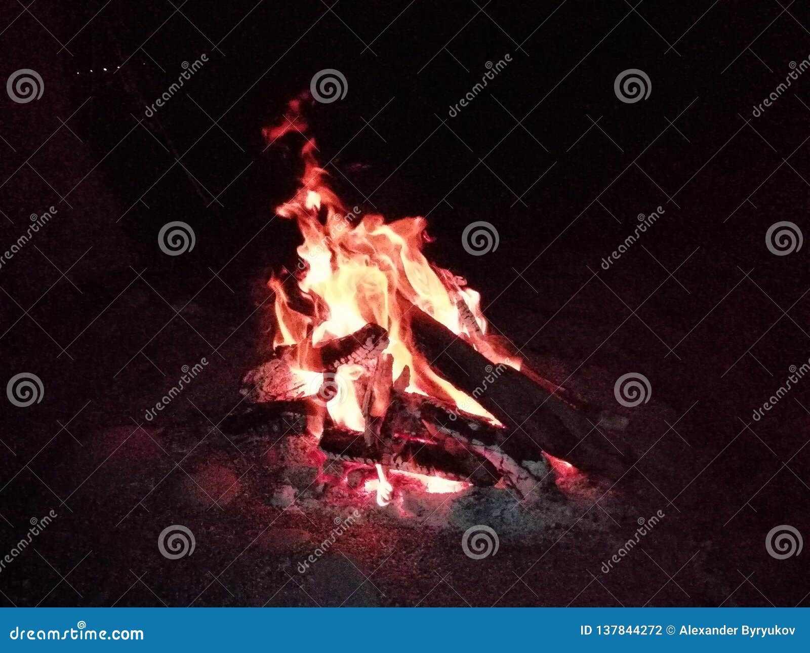 Bonfire stock photo. Image of firewood, flame, bonfire - 137844272