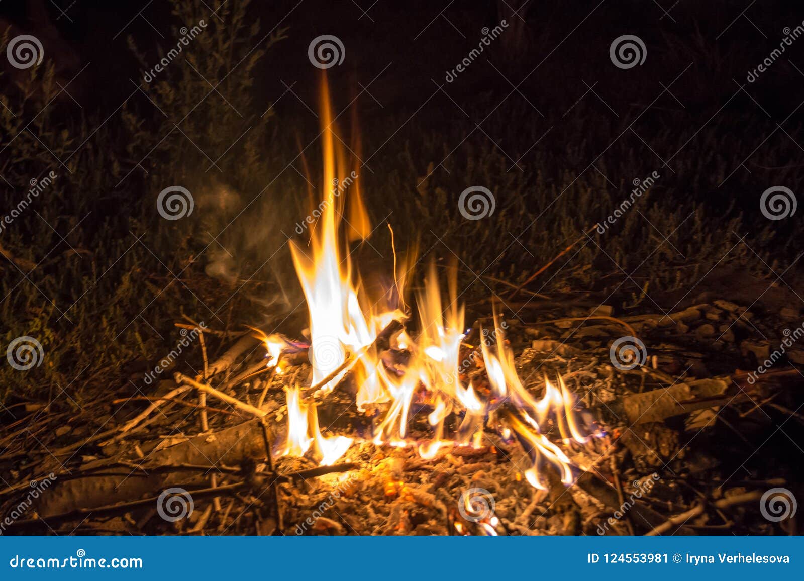 Bonfire in the Night Forest Stock Image - Image of fuel, balefire ...