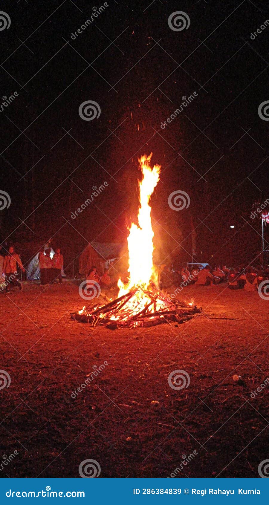 The Bonfire is Perfect at Night Stock Image - Image of flame, campfire ...