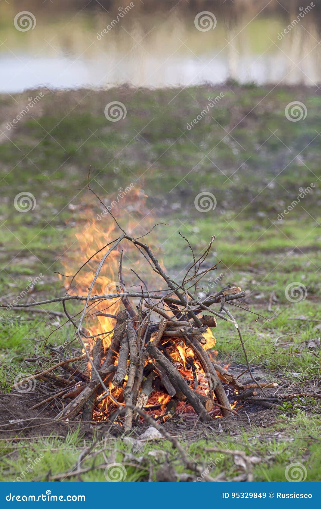 Bonfire for picnic stock image. Image of twigs, branches - 95329849