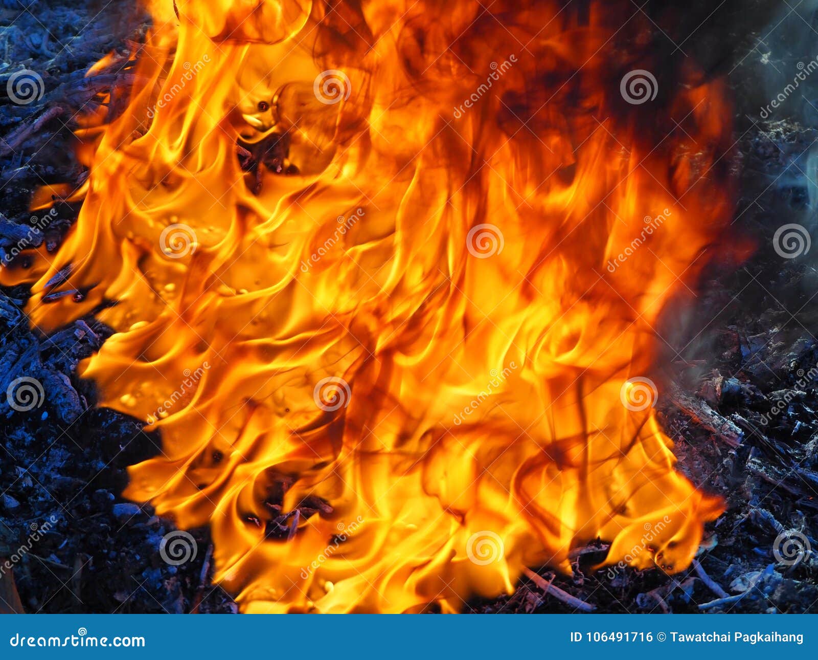 Bonfire stock photo. Image of orange, smoke, firewood - 106491716