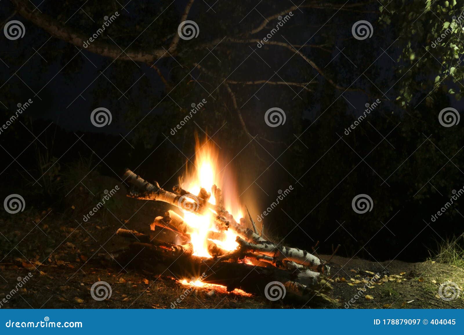 Bonfire by the River in the Forest at Night. Romantic Evening Stock ...