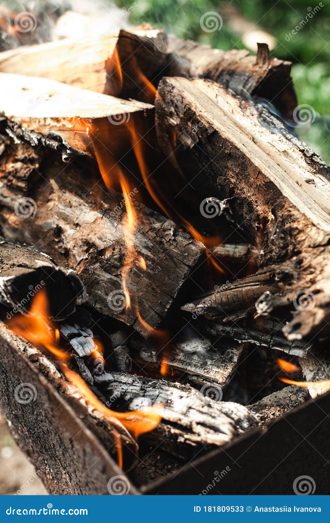 Bonfire smoke stock image. Image of campsite, meat, fireplace - 181809533