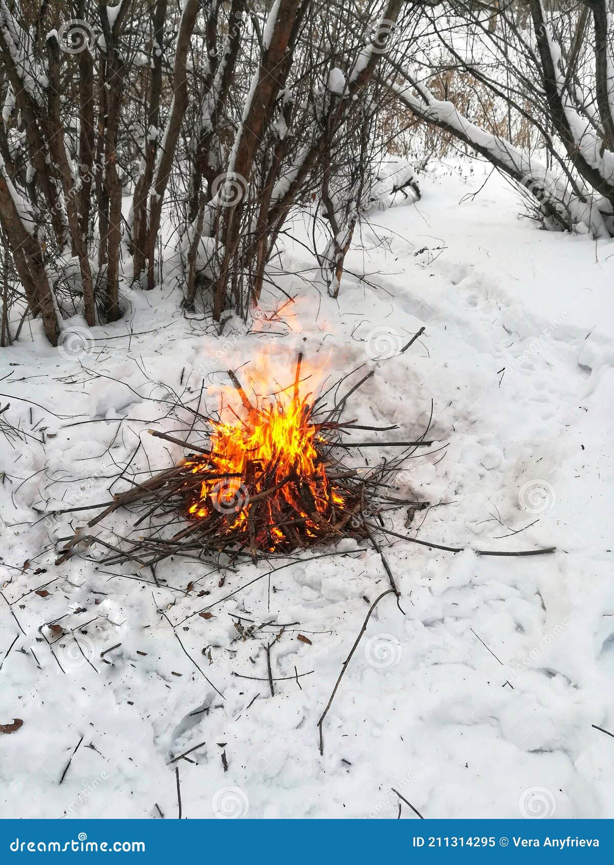 Bonfire in the Snow in the Forest.Siberia Stock Image - Image of flame ...