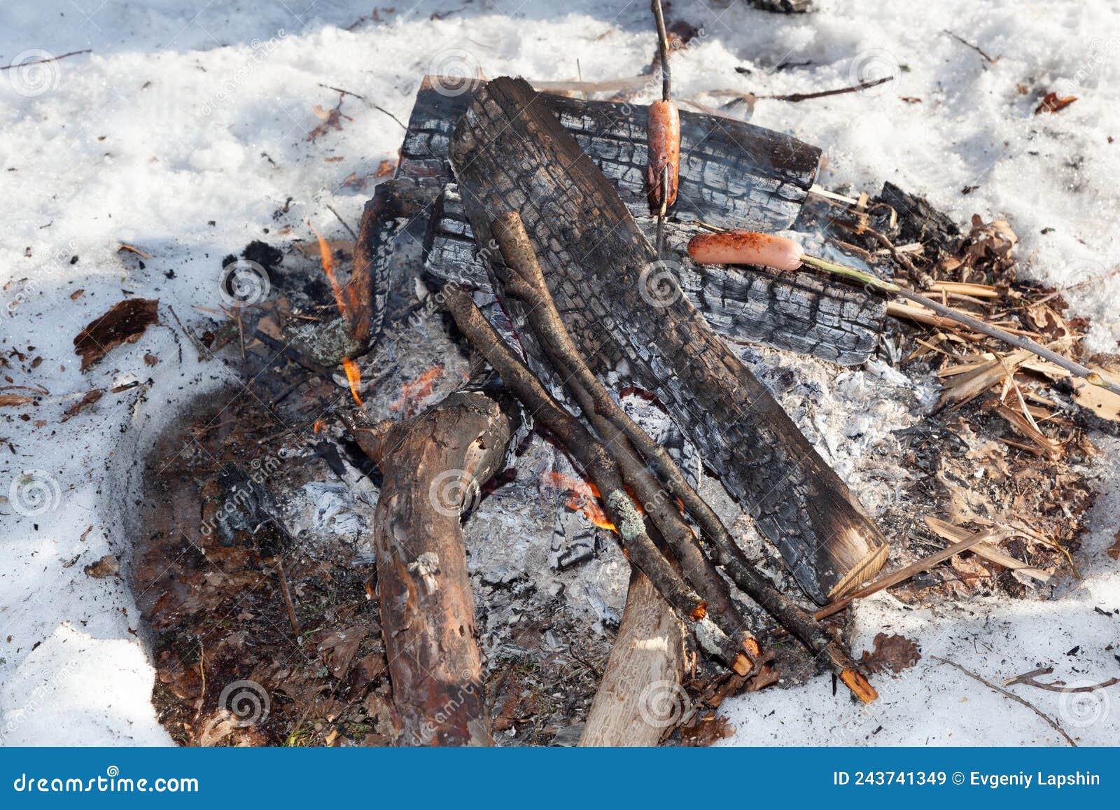 Bonfire in the Snow. Bonfire in the Winter Forest. a Fire Made of Dry ...
