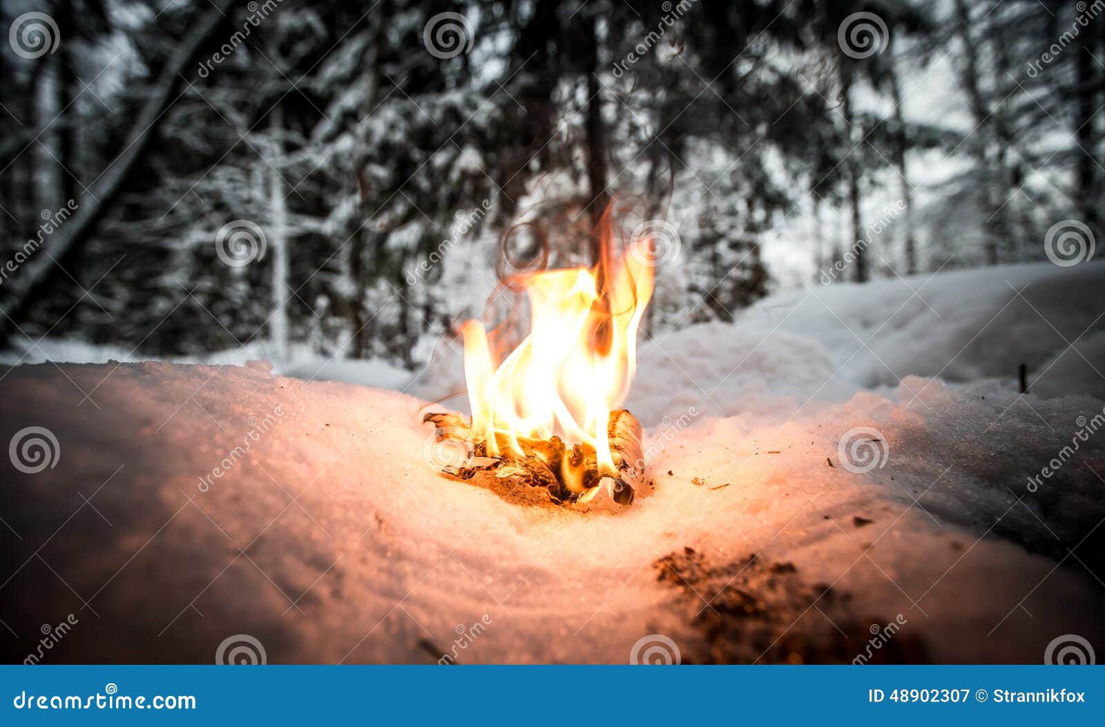 Bonfire on a Snowy Clearing in the Woods. Toned Stock Image - Image of ...
