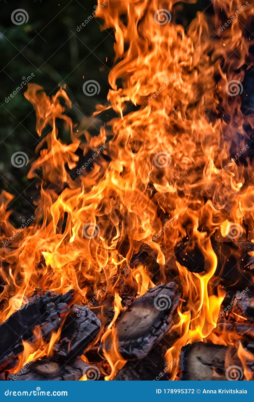 Beautiful Summer Campfire Flame Stock Photo - Image of background, camp ...