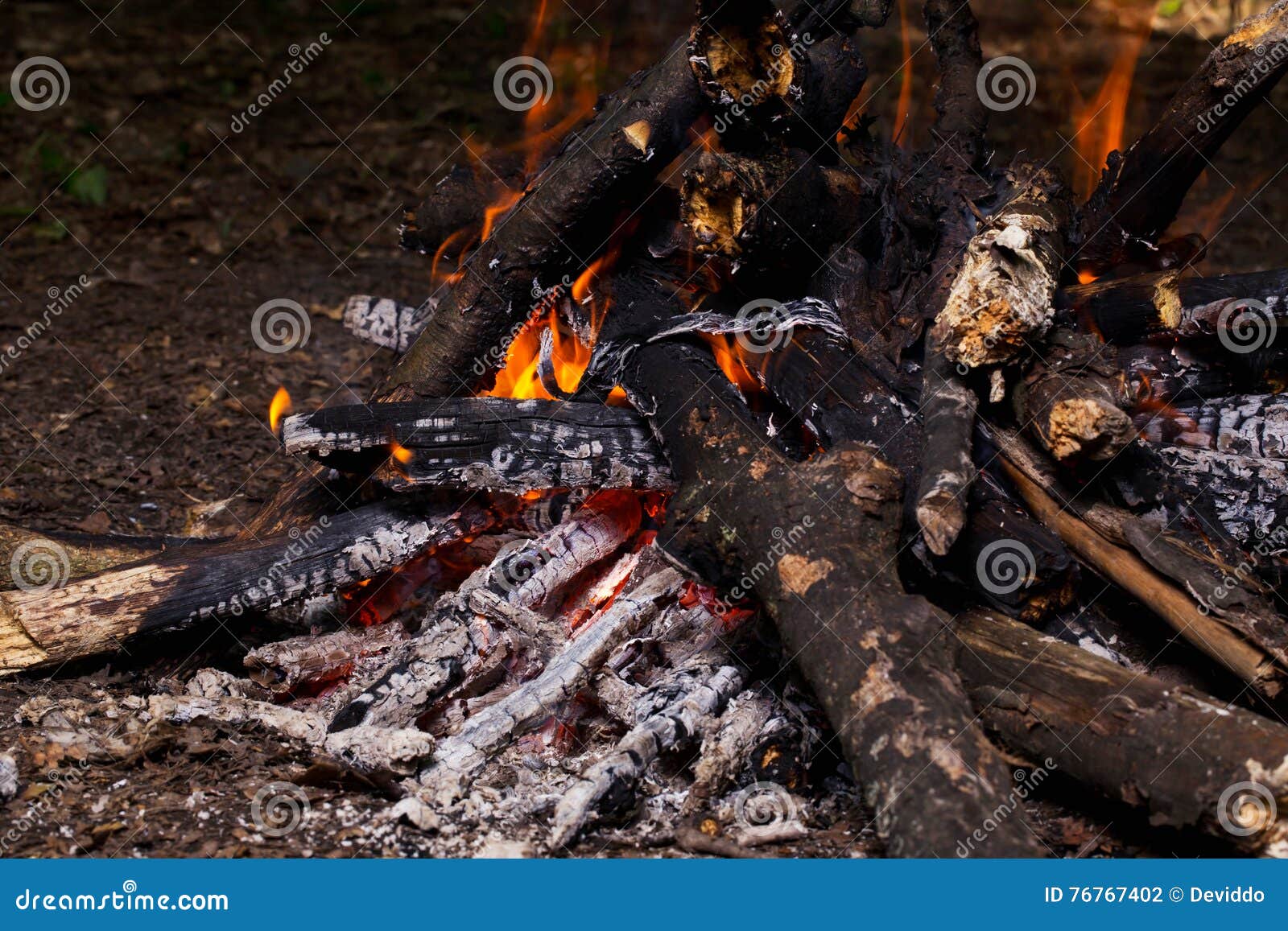 Bonfire in the Spring Forest Stock Photo - Image of phenomenon, burning ...