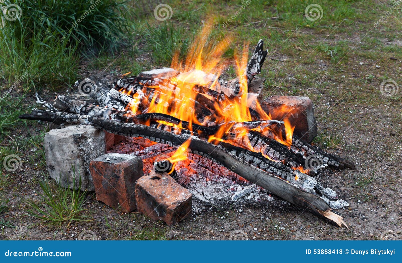 Bonfire in the Spring Forest. Coals of Fire Stock Photo - Image of ...