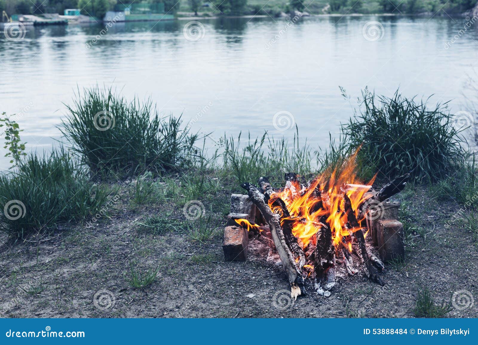 Bonfire in the Spring Forest. Coals of Fire Stock Photo - Image of ...