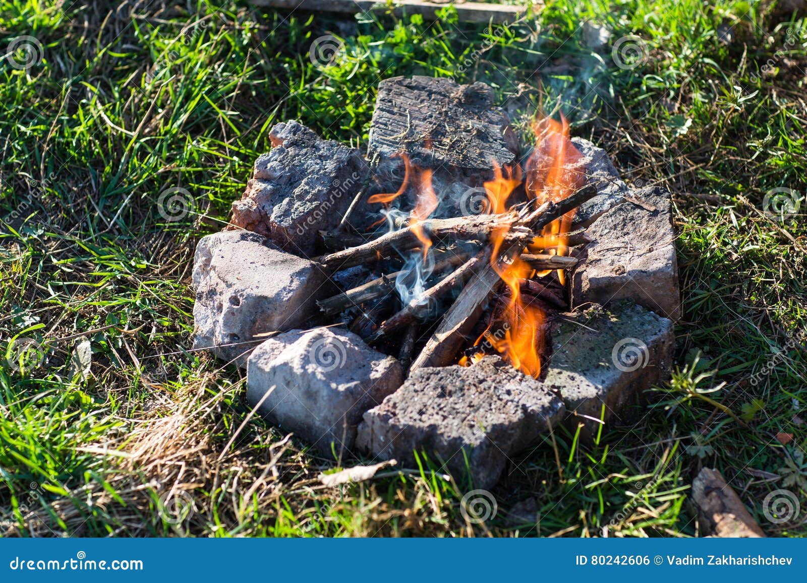 Bonfire in the Spring Forest. Stock Photo - Image of blaze, hell: 80242606