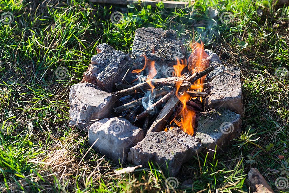 Bonfire in the Spring Forest. Stock Photo - Image of blaze, hell: 80242606