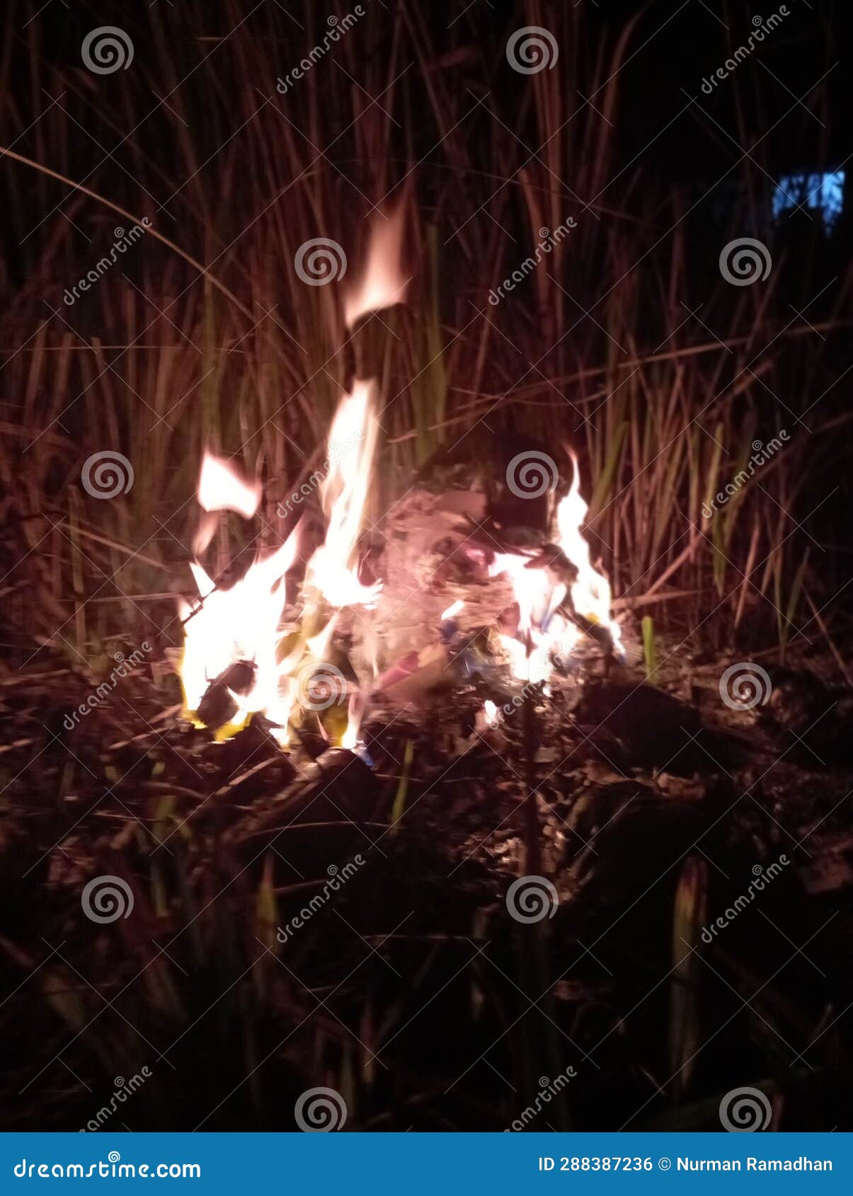Bonfire in Spring at Saturday Mid Night Stock Photo - Image of spring ...