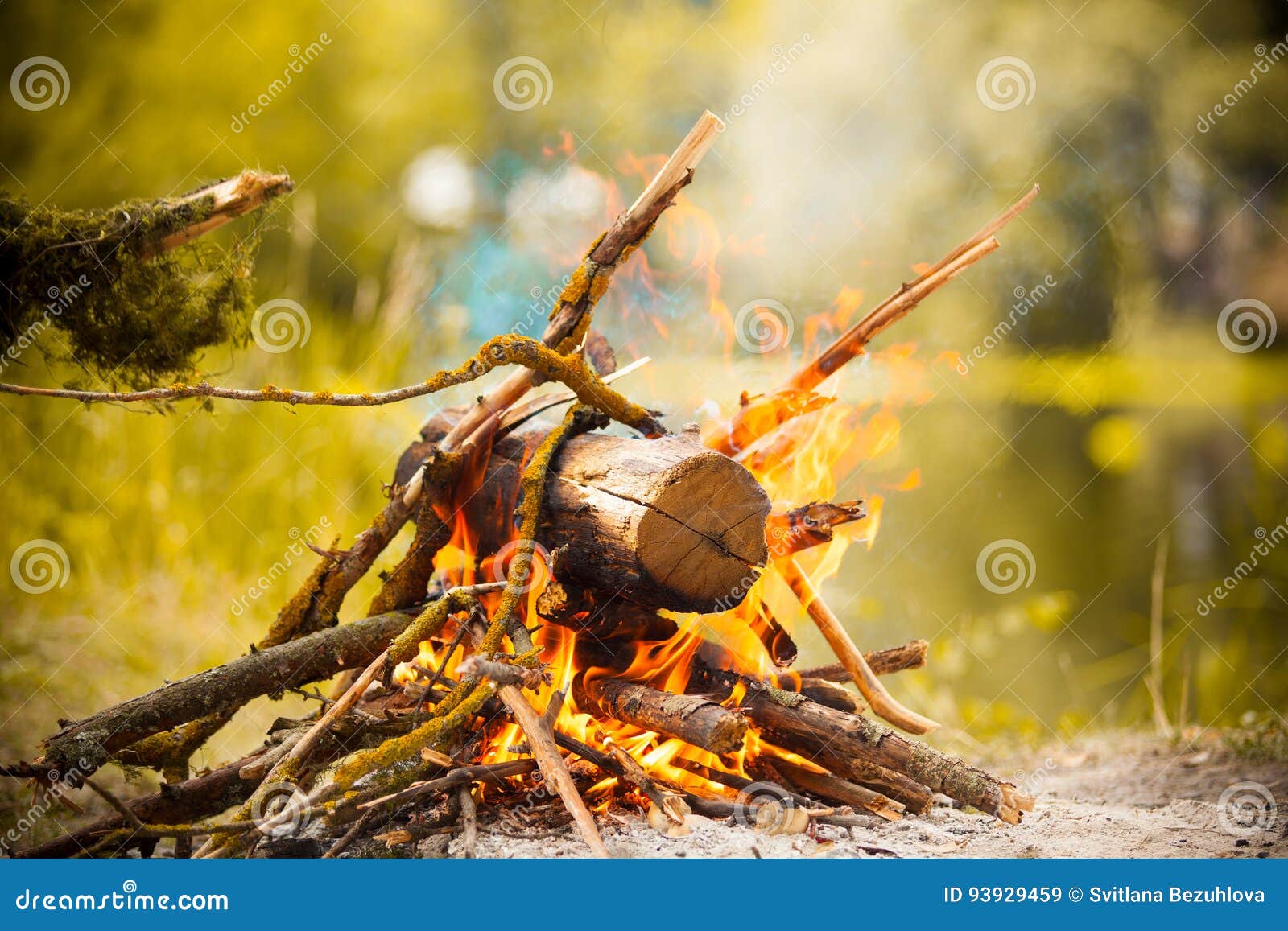 Bonfire on Summer. Fire Flame from Bonfire on a Nature Stock Image ...