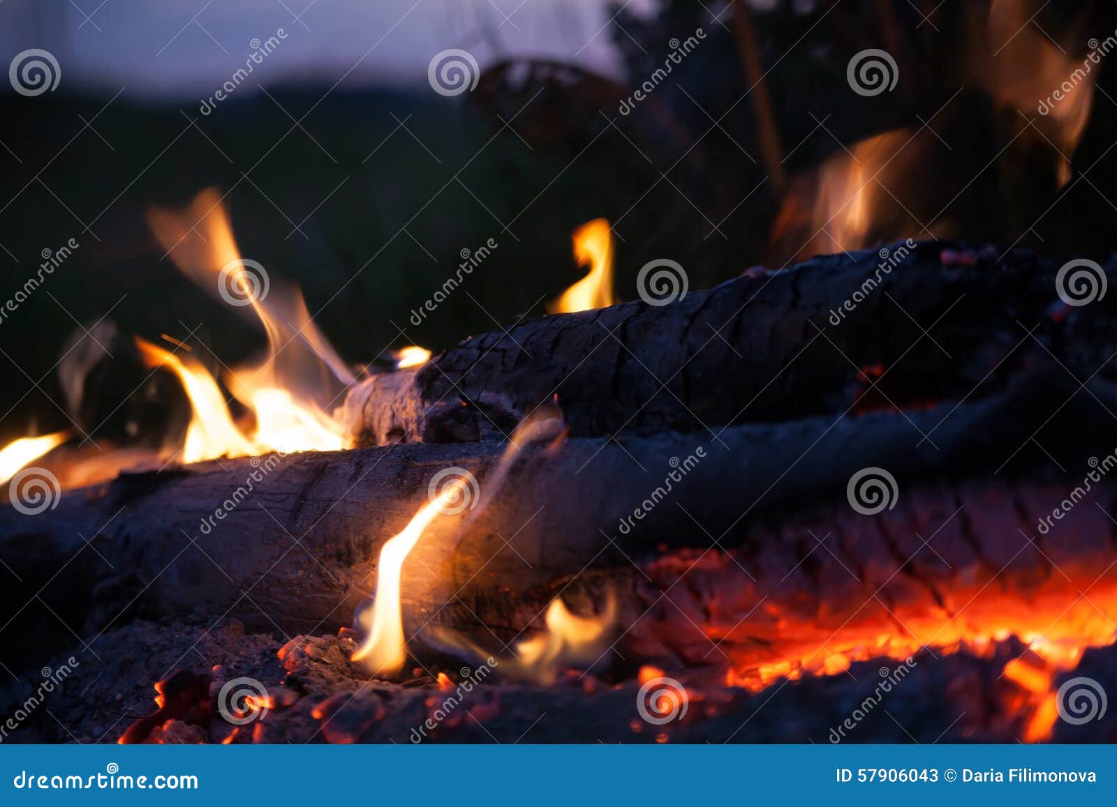 Bonfire at summer night stock image. Image of firewood - 57906043
