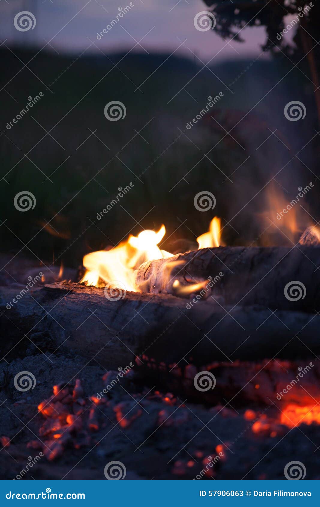 Bonfire at summer night stock image. Image of nature - 57906063