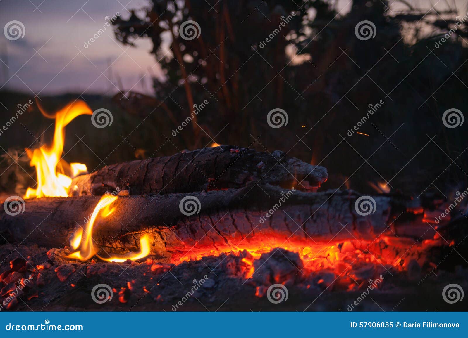 Bonfire with Tongues of Flame and Embers Stock Image - Image of nature ...