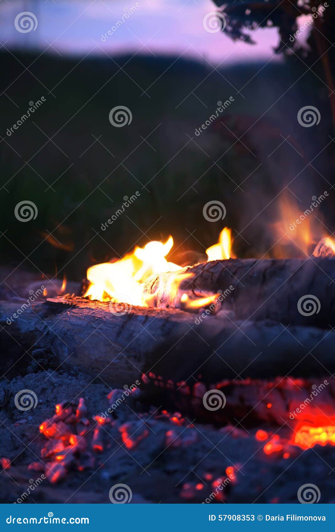 Bonfire with Tongues of Flame Stock Image - Image of embers, night ...