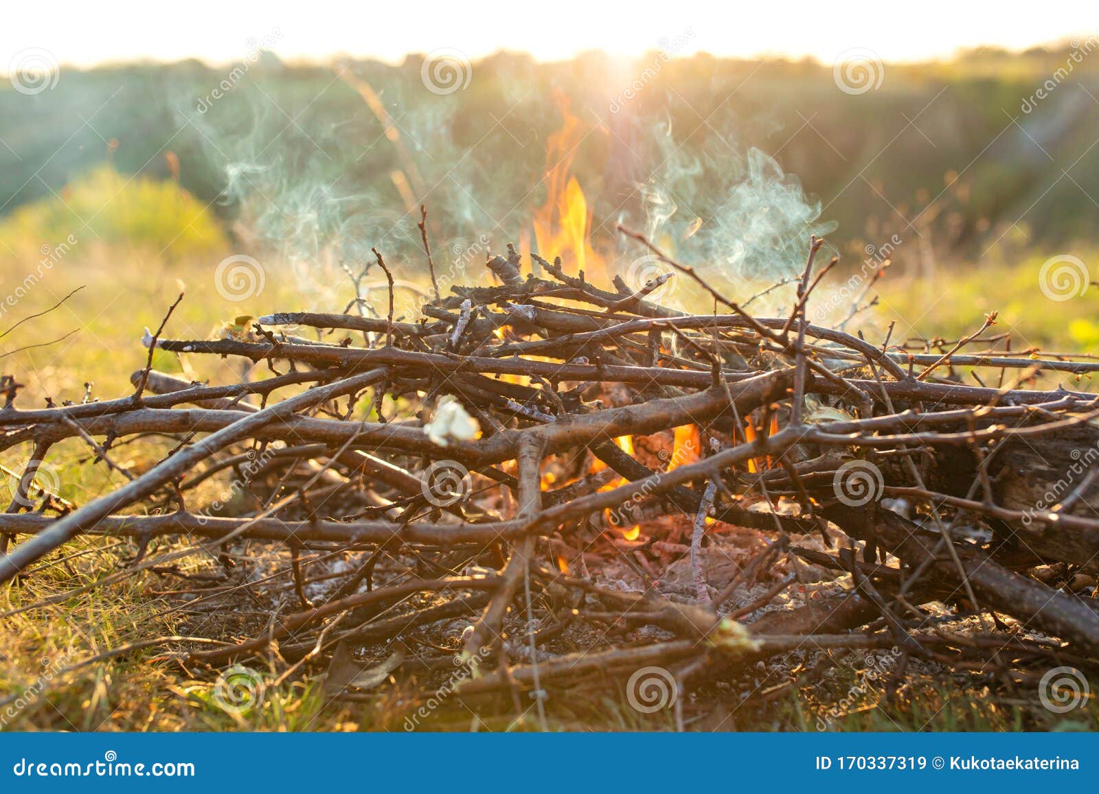 Bonfire from Tree Branches in the Mountains Stock Image - Image of ...