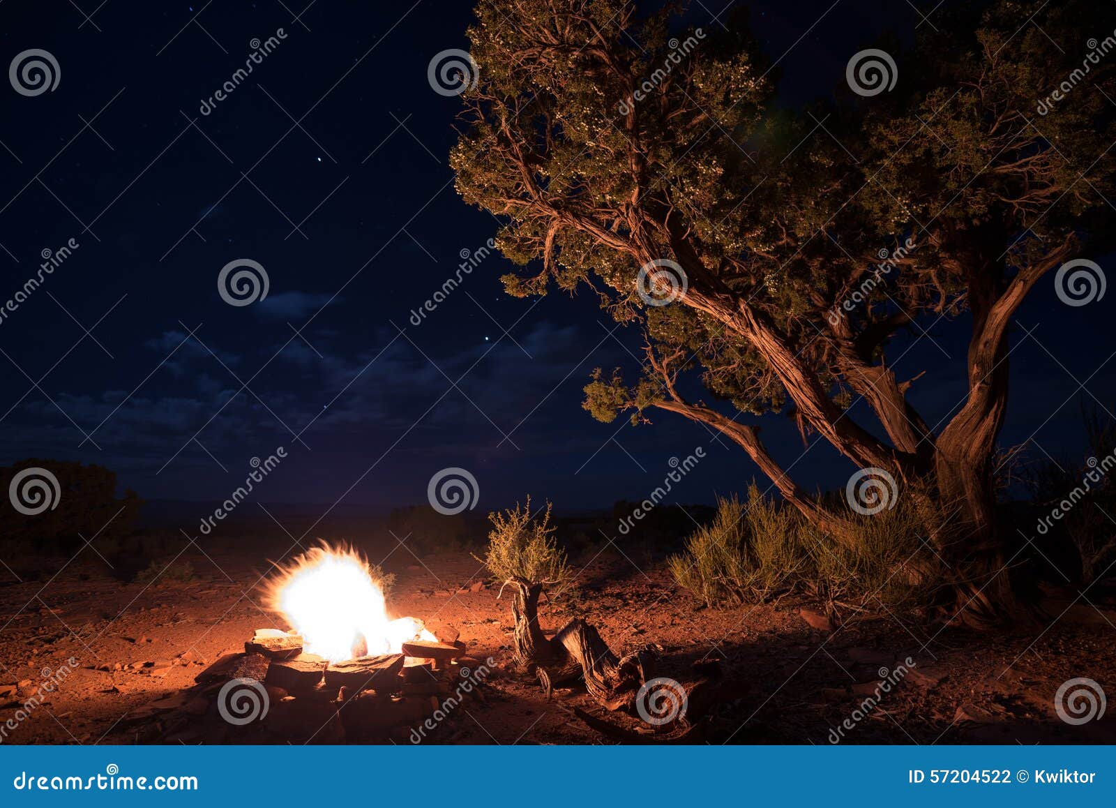 Bonfire under the Stars stock photo. Image of wood, travel - 57204522