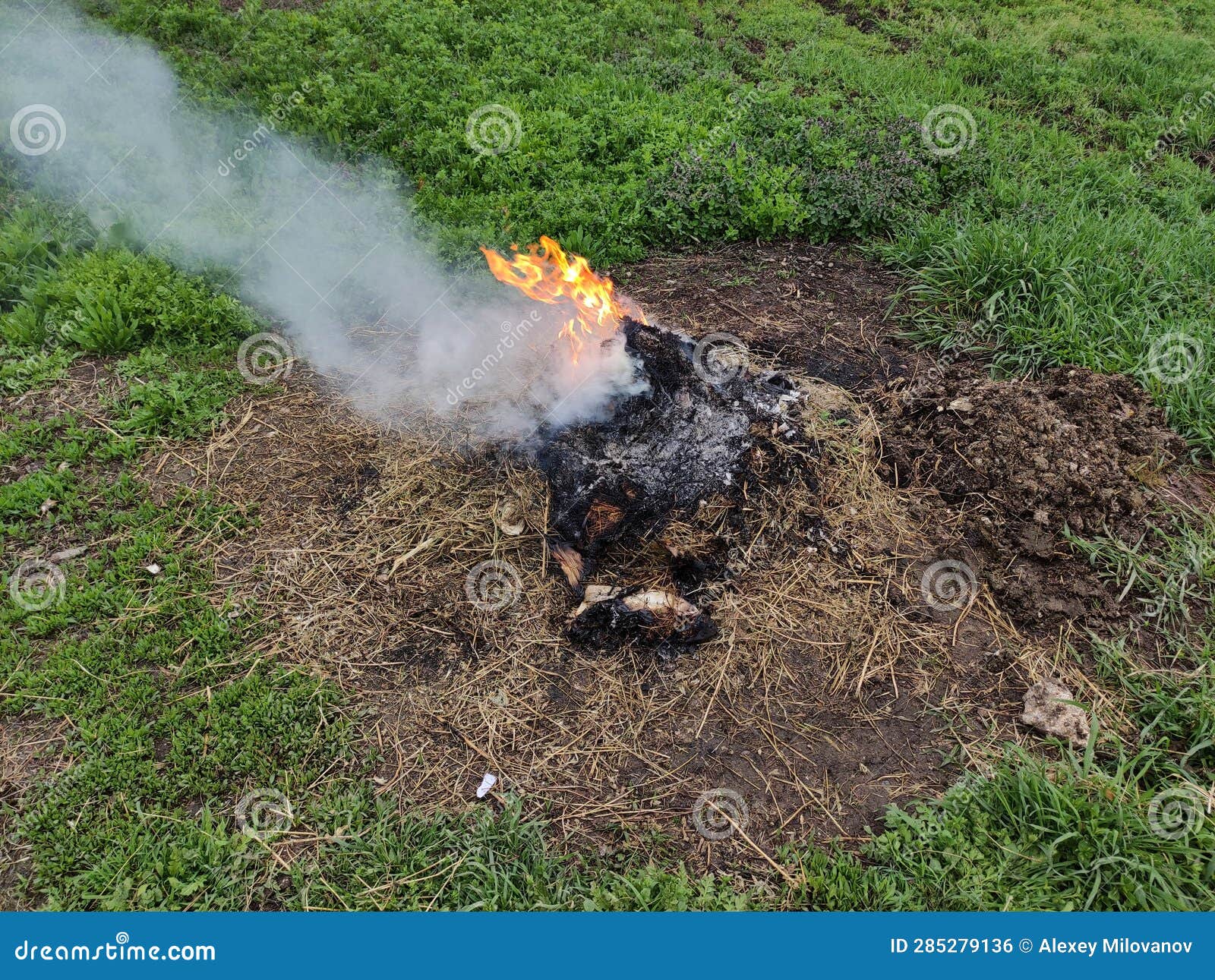 Bonfire in the Vegetable Garden in the Countryside Stock Photo - Image ...