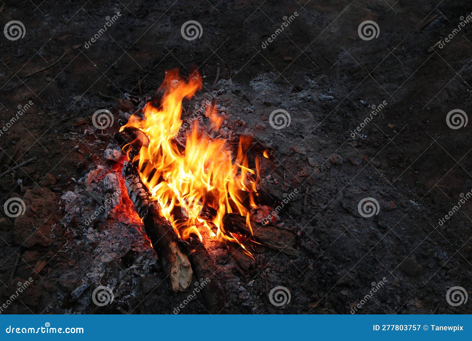 The Bonfire Was Burning Firewood for Warmth Stock Image - Image of ...