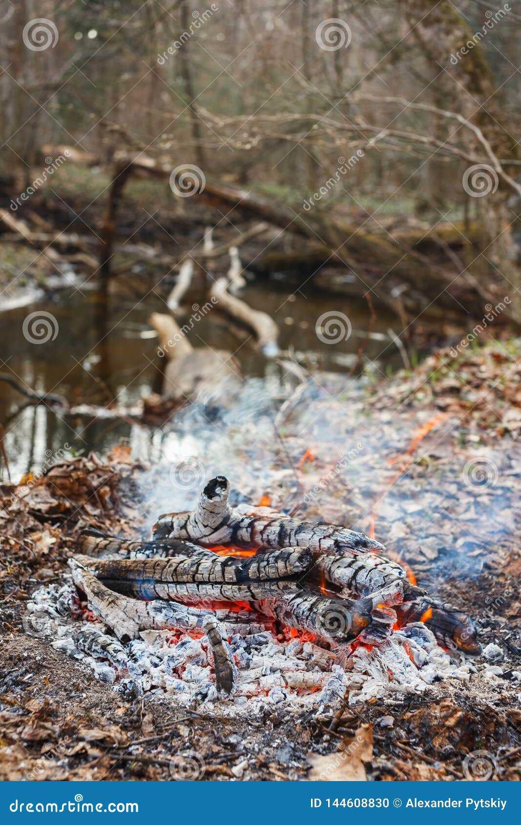 Bonfire by the Water in the Forest Stock Photo - Image of burn, water ...