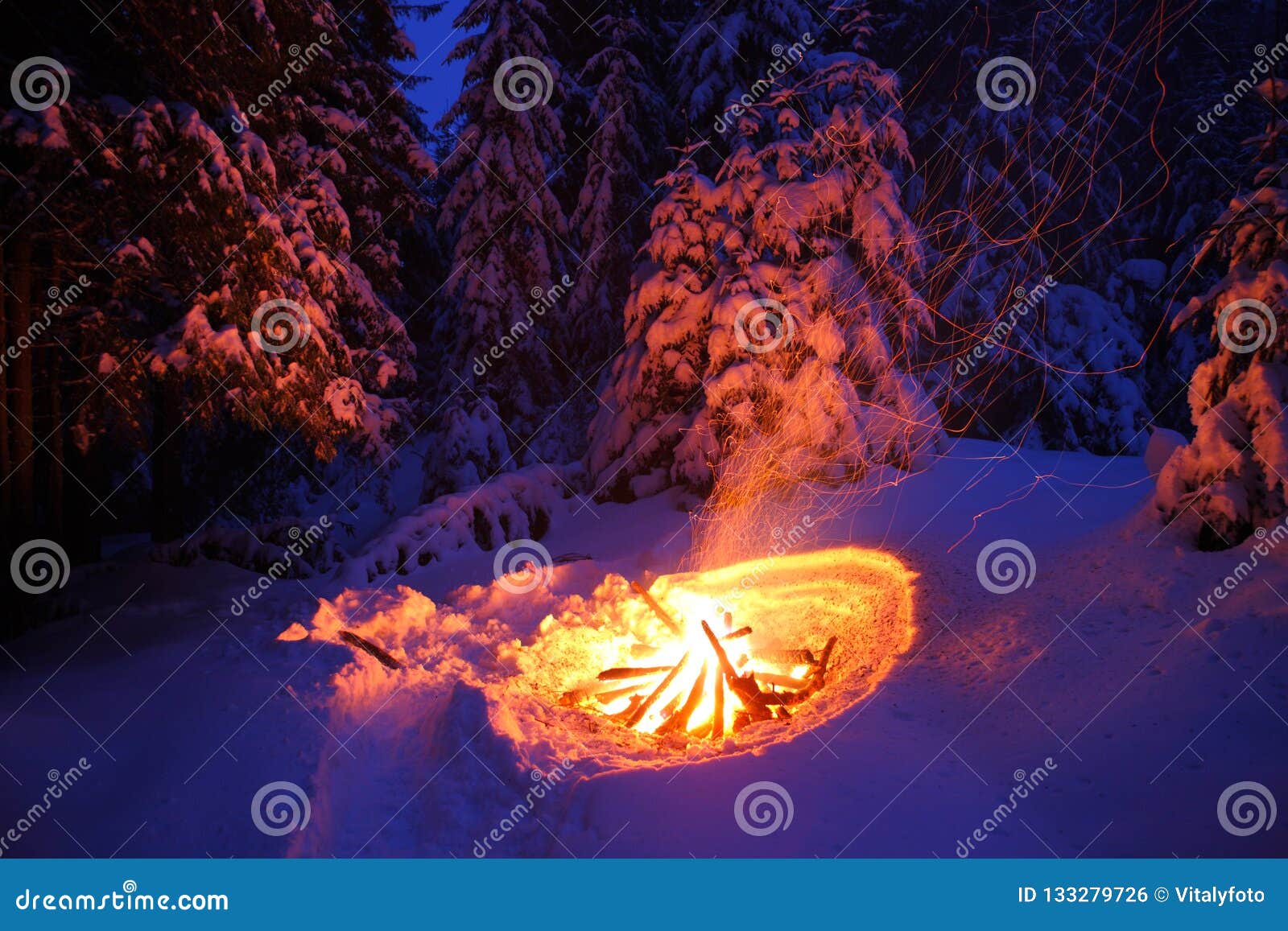 Bonfire in the Winter Forest Illuminates the Snow Stock Photo - Image ...