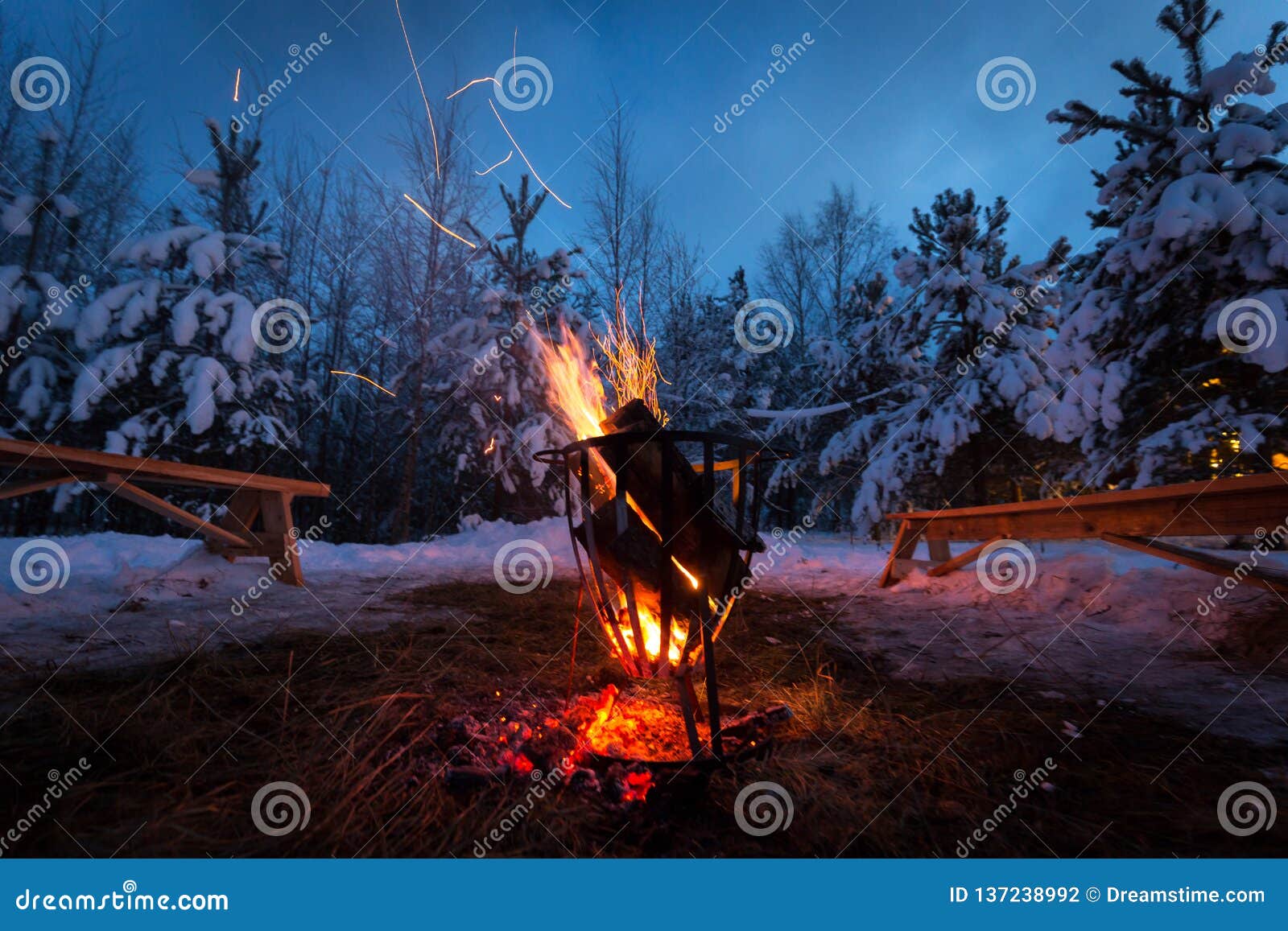 Bonfire in the Winter Forest Illuminates the Snow Stock Photo - Image ...