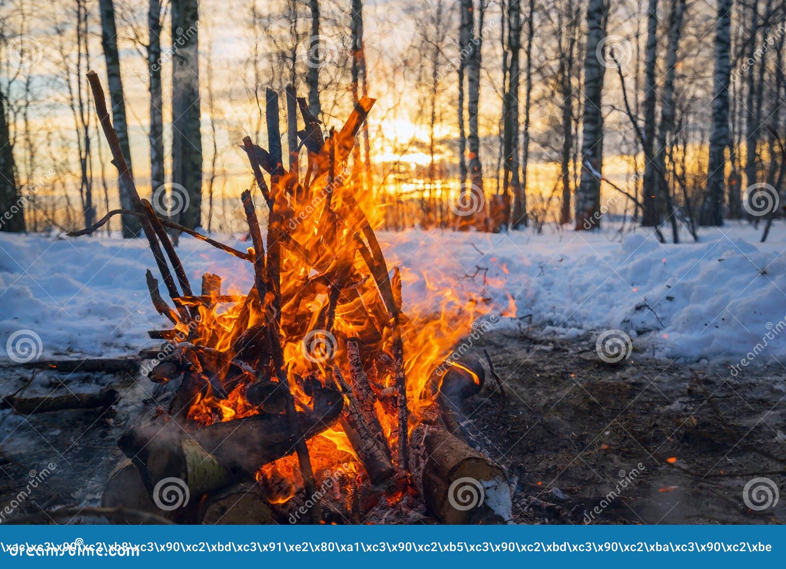 Bonfire In The Winter Forest Royalty-Free Stock Photography ...