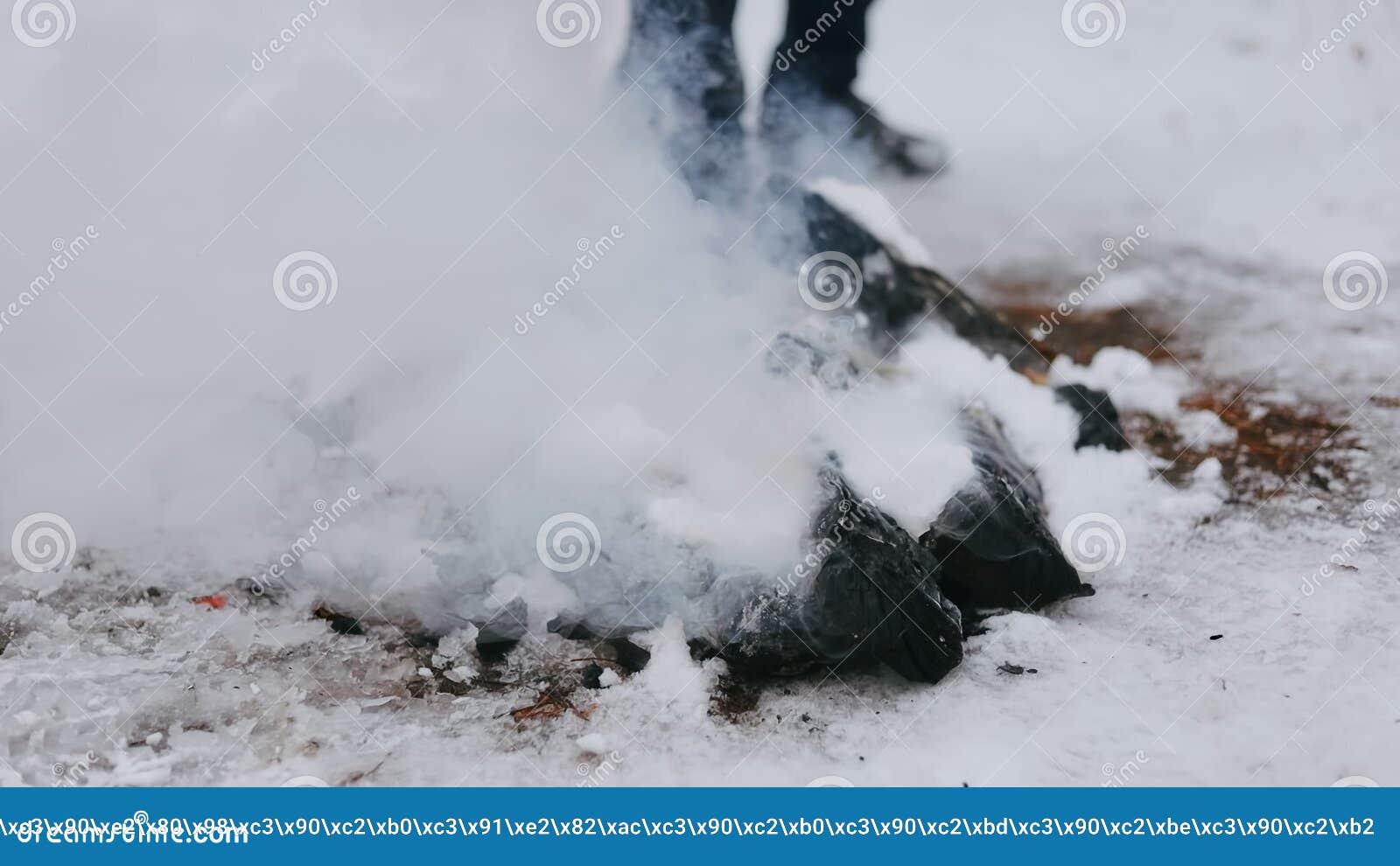 Bonfire in Winter in the Snow. Winter Picnic. the Fire is Extinguished ...