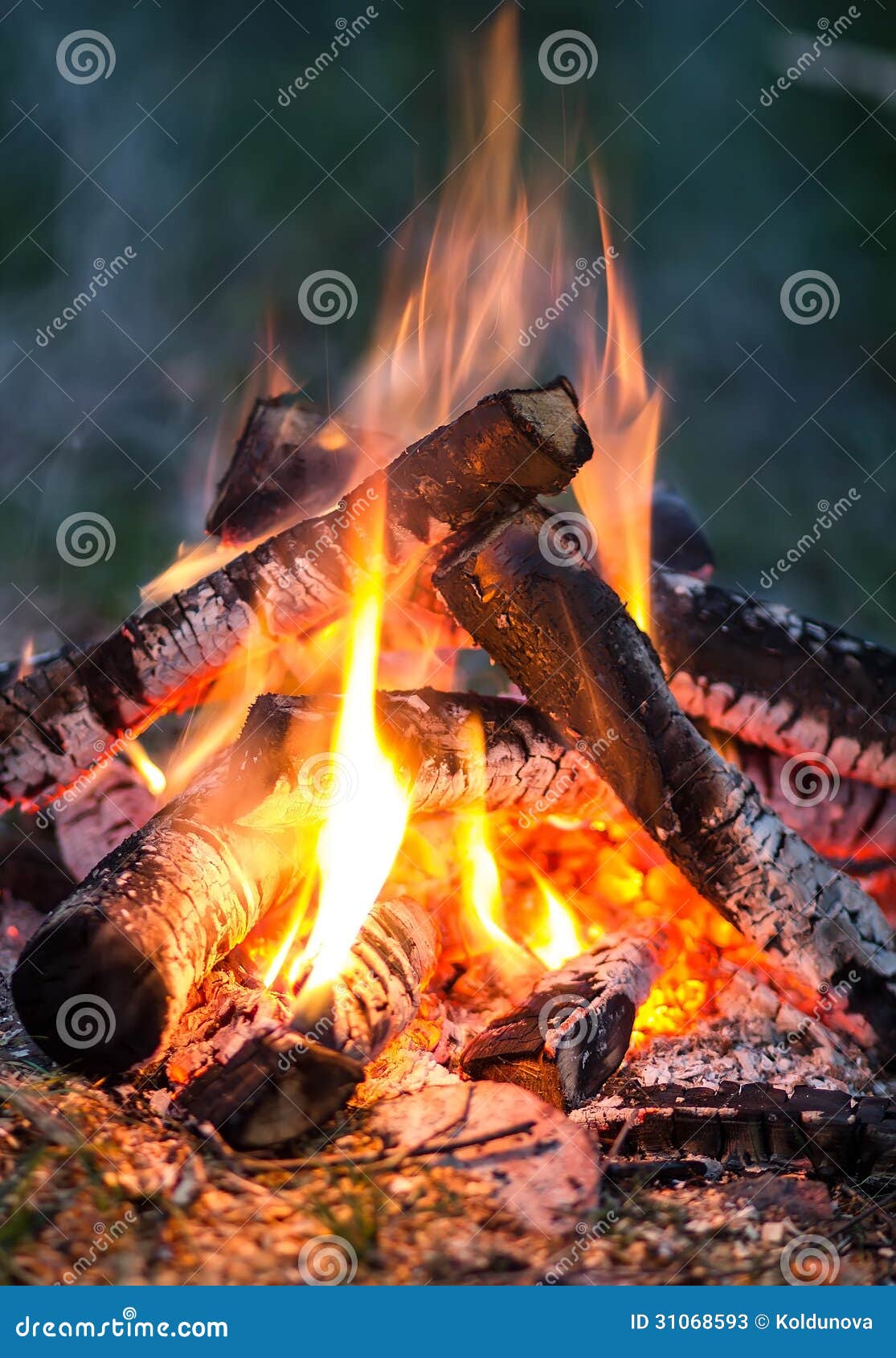 Bonfire stock image. Image of firewood, holidays, fire - 31068593