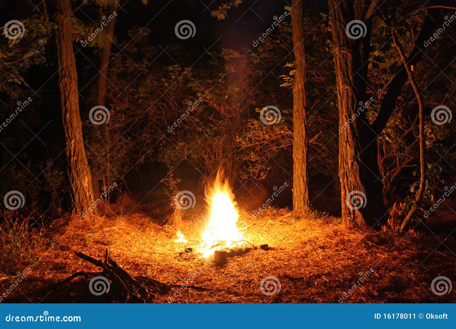 Bonfire in the woods stock image. Image of burning, flame - 16178011