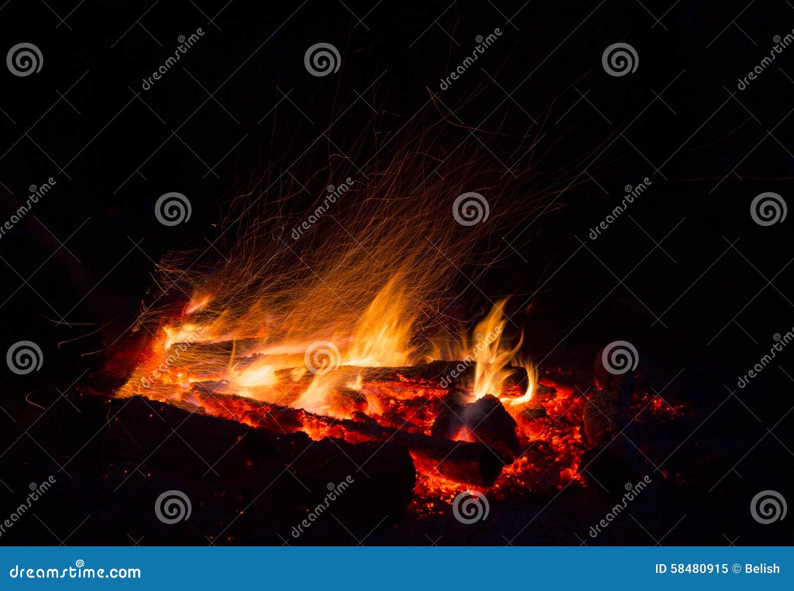 Bonfire in the woods stock image. Image of holiday, outdoors - 58480915