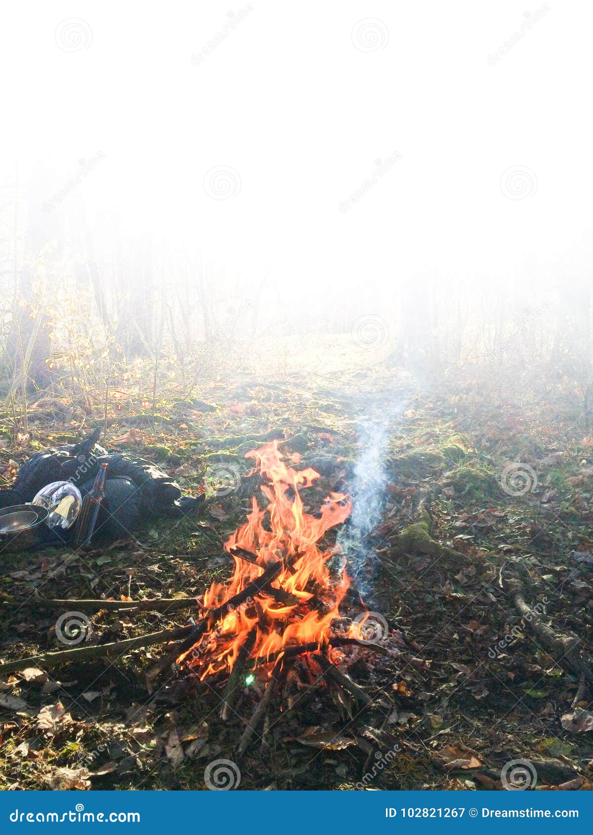 Bonfire in the woods stock image. Image of rustic, forest - 102821267