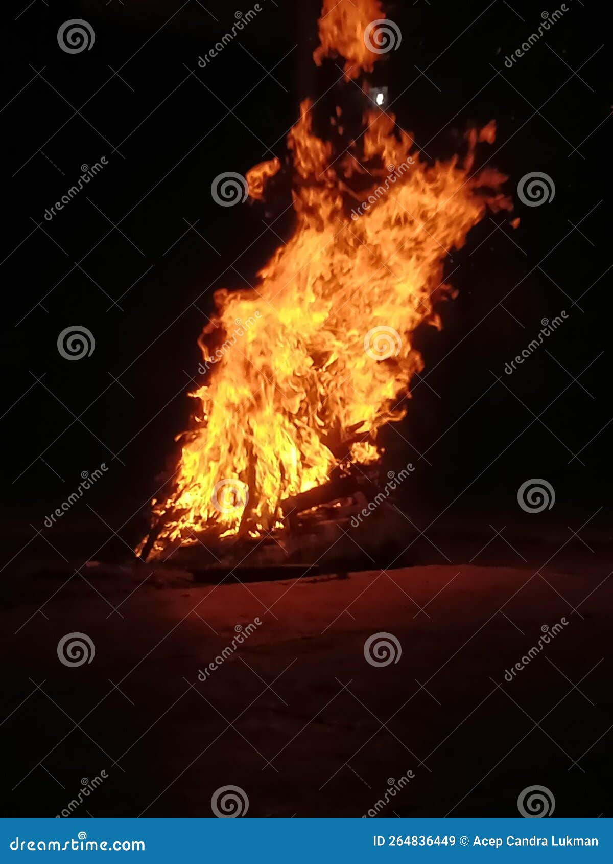Bonfires at Camping Night in the Woods Stock Image - Image of bonfires ...
